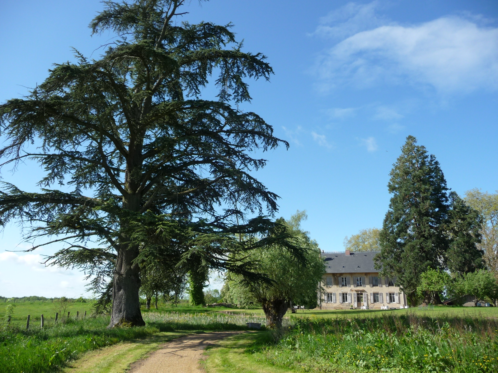 Gallery Park - Domaine de Savigny